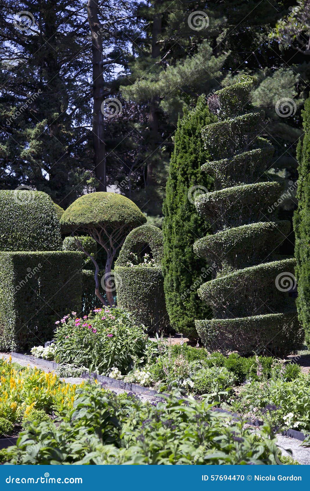 Garden with Topiary stock photo. Image of garden, green - 57694470