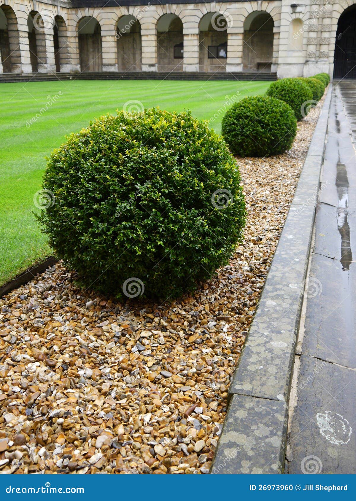 Garden: Topiary Hedge Detail - V Stock Photo - Image of cloisters ...