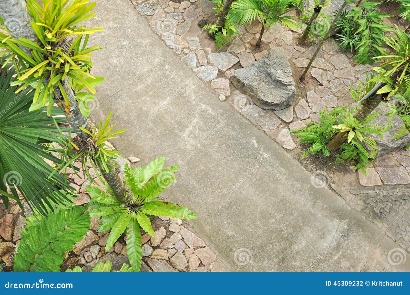 Garden trail stock photo. Image of walkway, road, leaves - 45309232