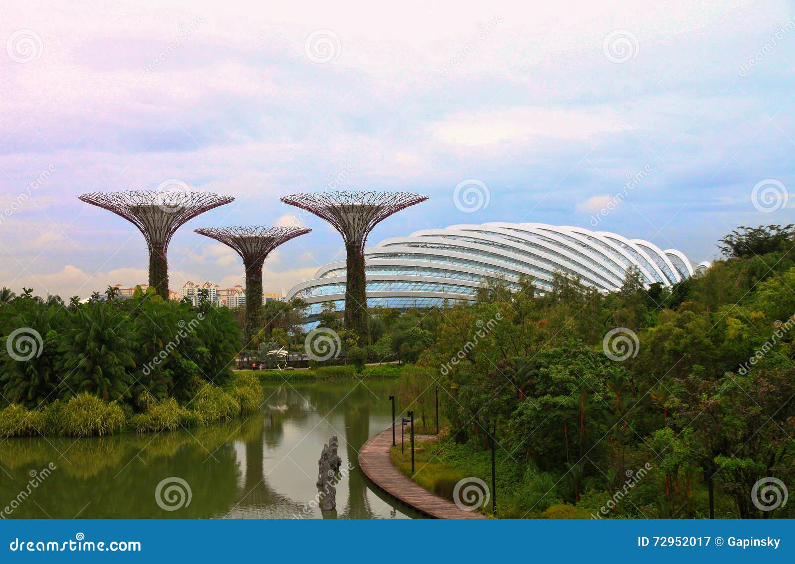 Garden Tree2 stock image. Image of singapore, landmark - 72952017