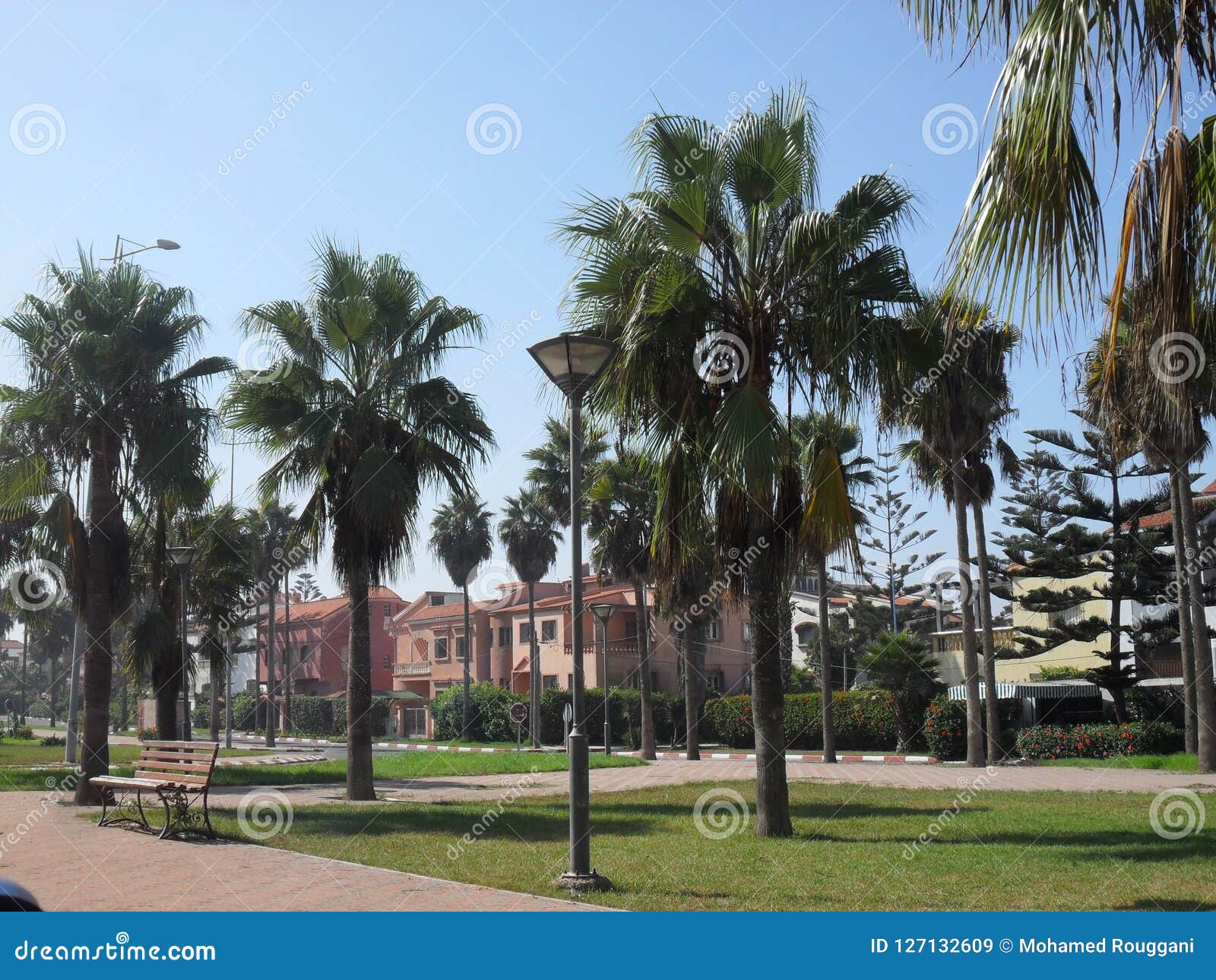 Garden sidi rahhal morocco stock image. Image of sidi - 127132609