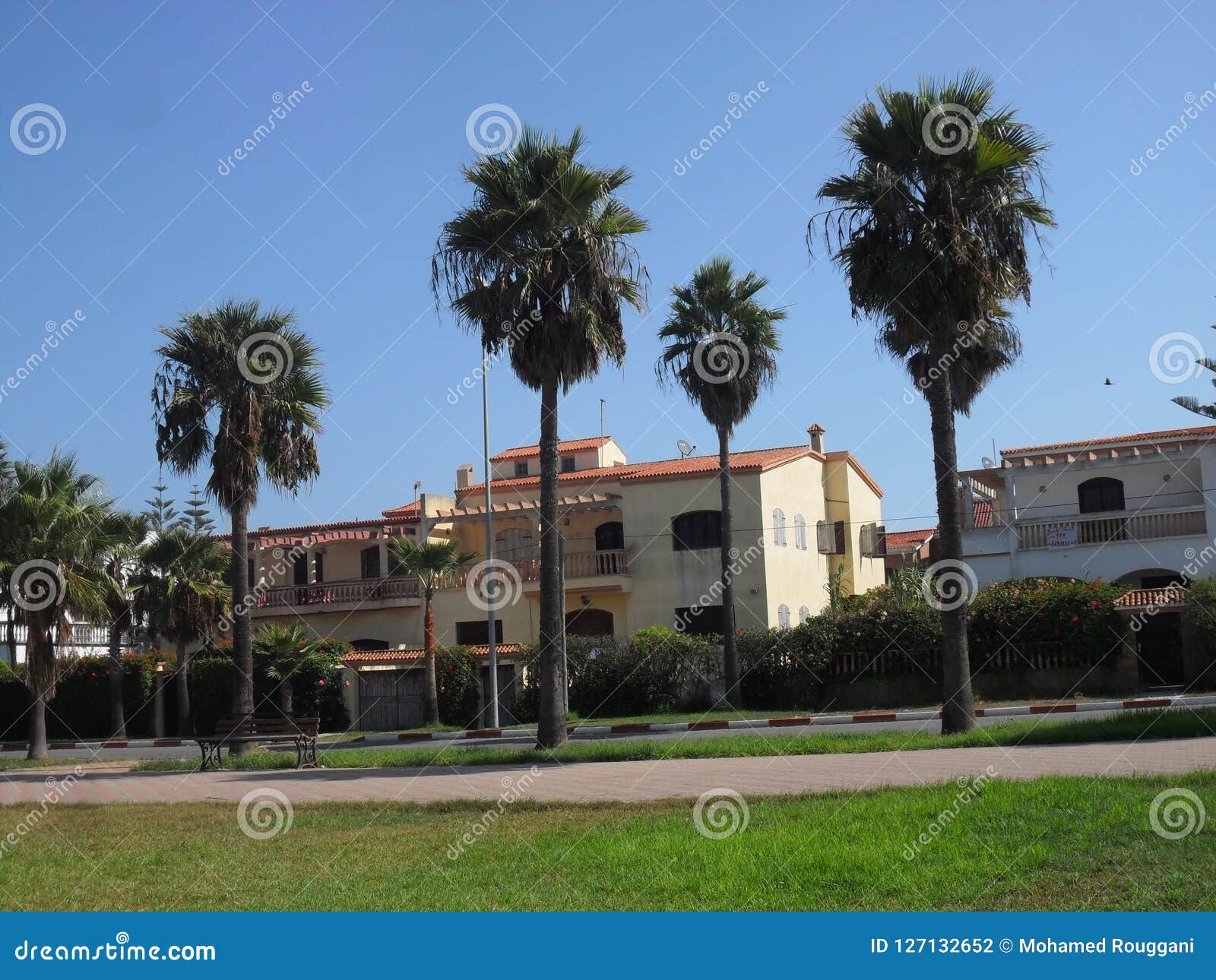 Garden sidi rahhal morocco editorial photography. Image of treesgreen ...