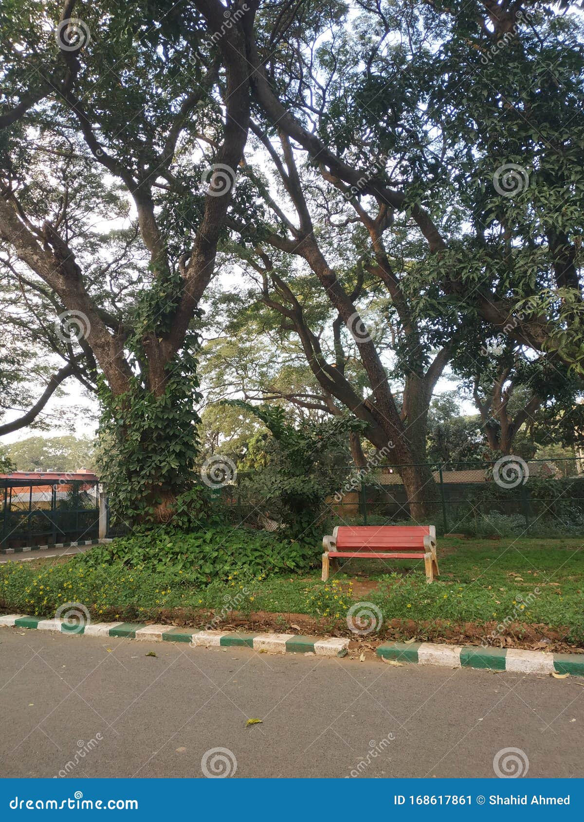 Garden, Trees, Plants, Greenery, Trees, Bench, Stock Image - Image of ...
