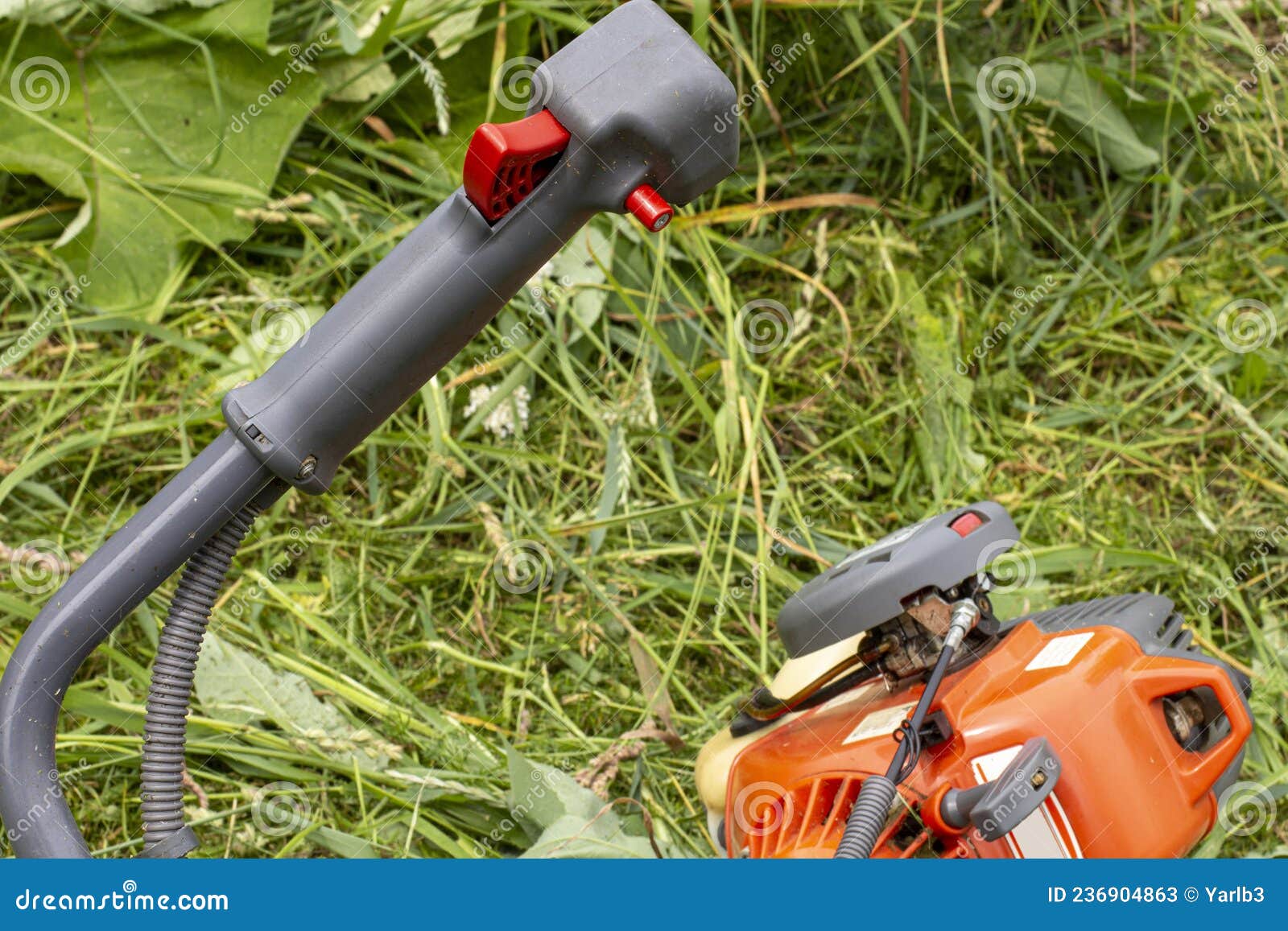 Garden Trimer on Green Mowed Grass, Control Handle and Petrol Engine ...