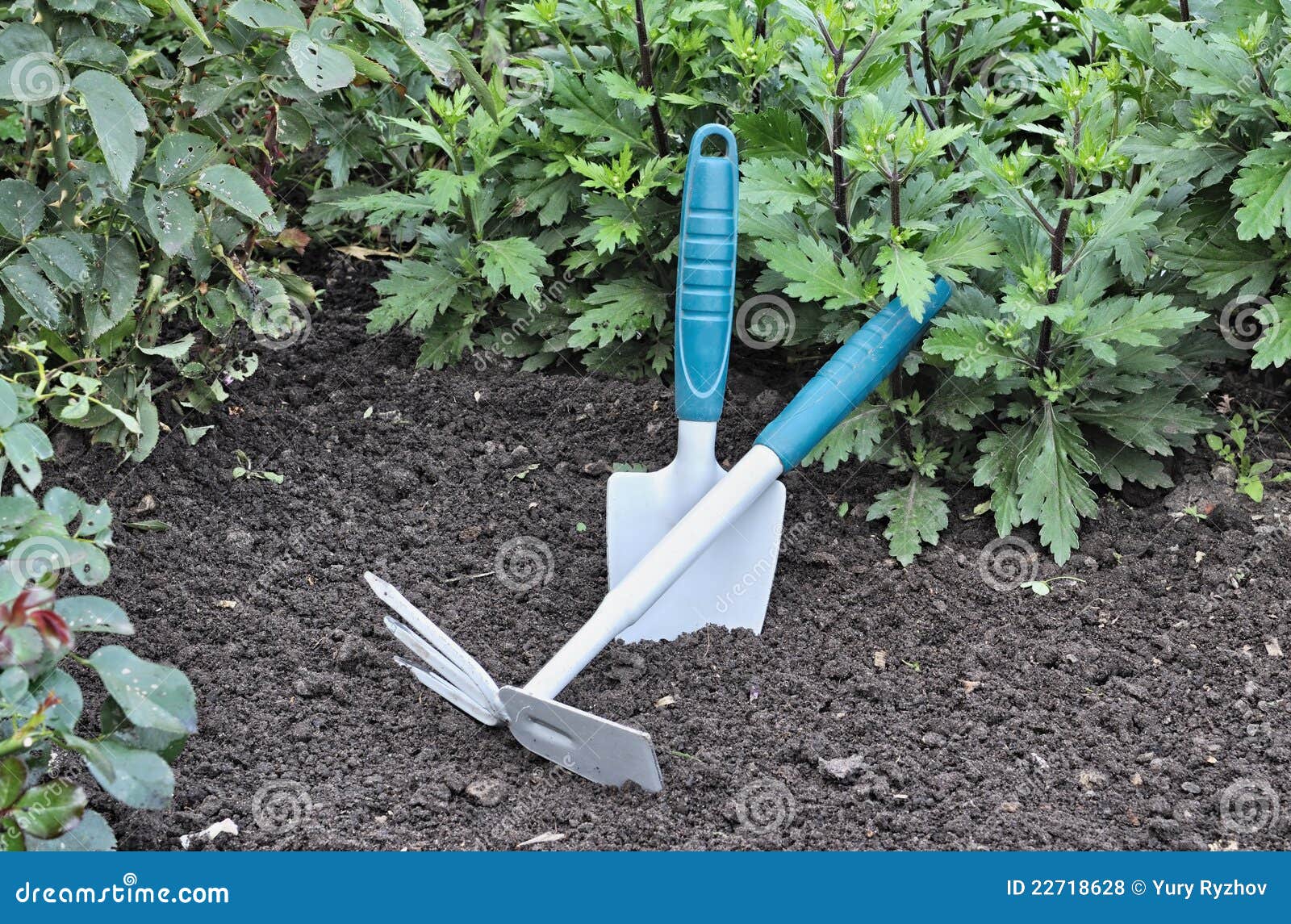 Garden Trowel and Chopper stock photo. Image of rake - 22718628