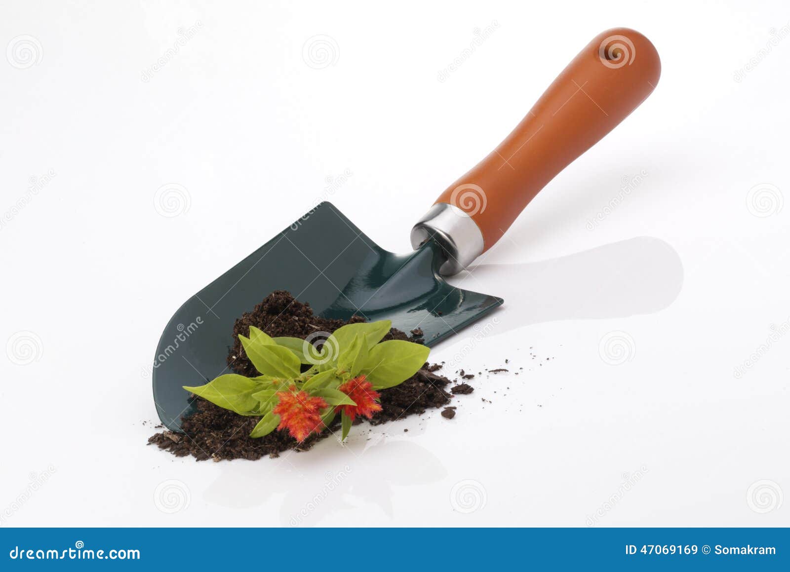 Garden Trowel stock image. Image of planting, trowel - 47069169
