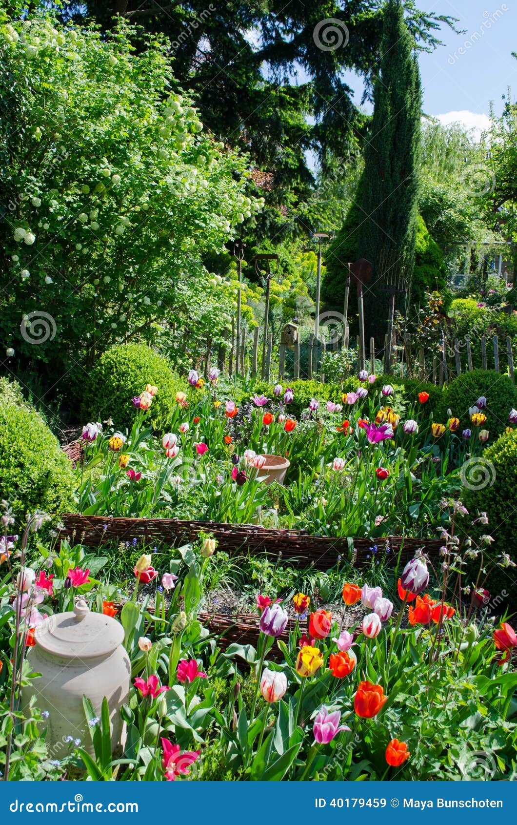 Garden with tulips stock image. Image of blooming, bloom - 40179459