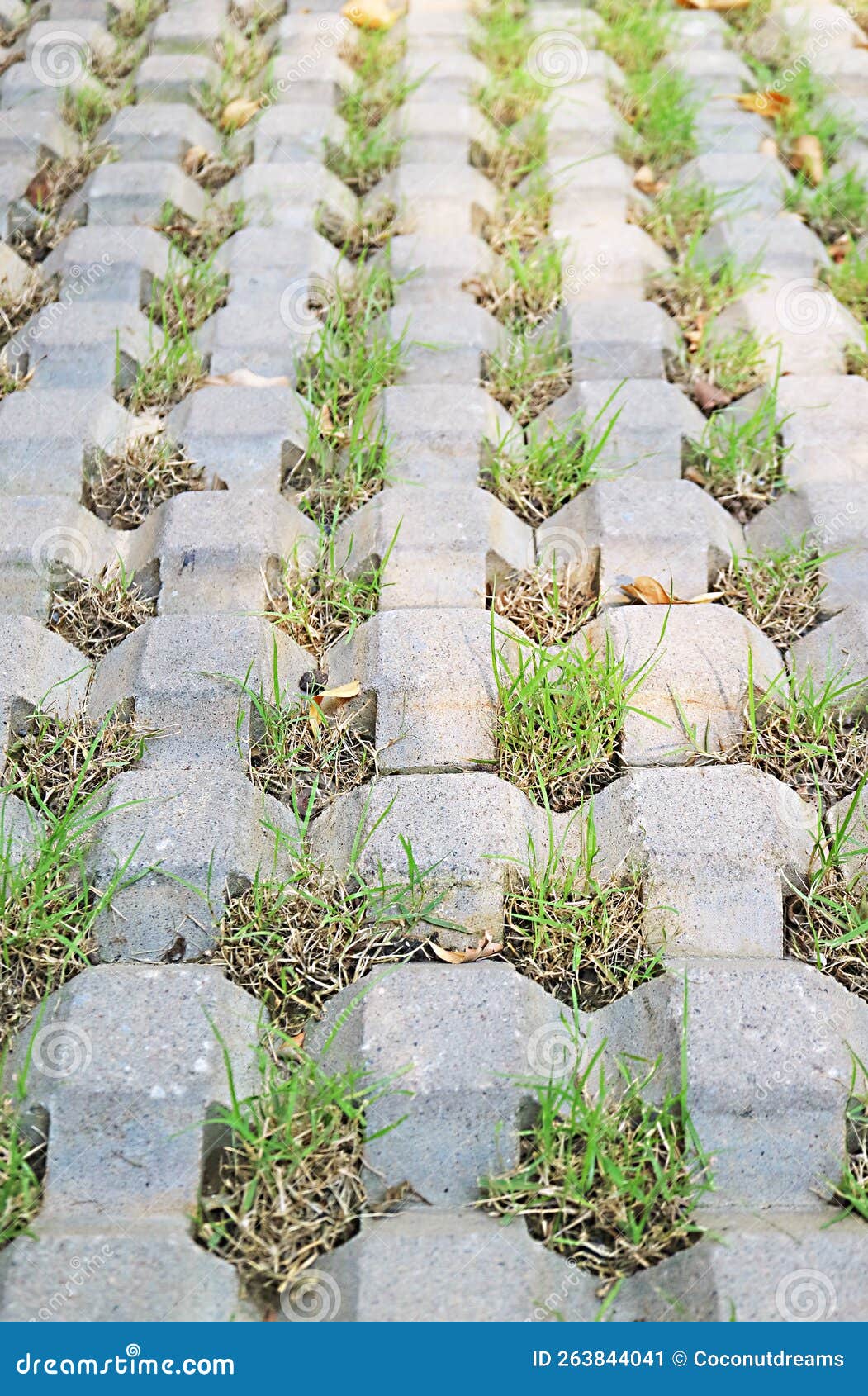 Garden Turf Stone Pavers in Sunlight Stock Image - Image of graphic ...