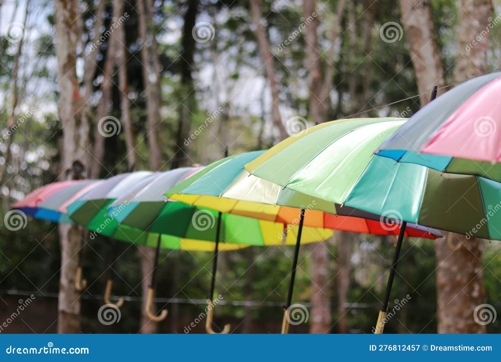 Garden Umbrella, Umbrella with Colorful Design Editorial Photography ...