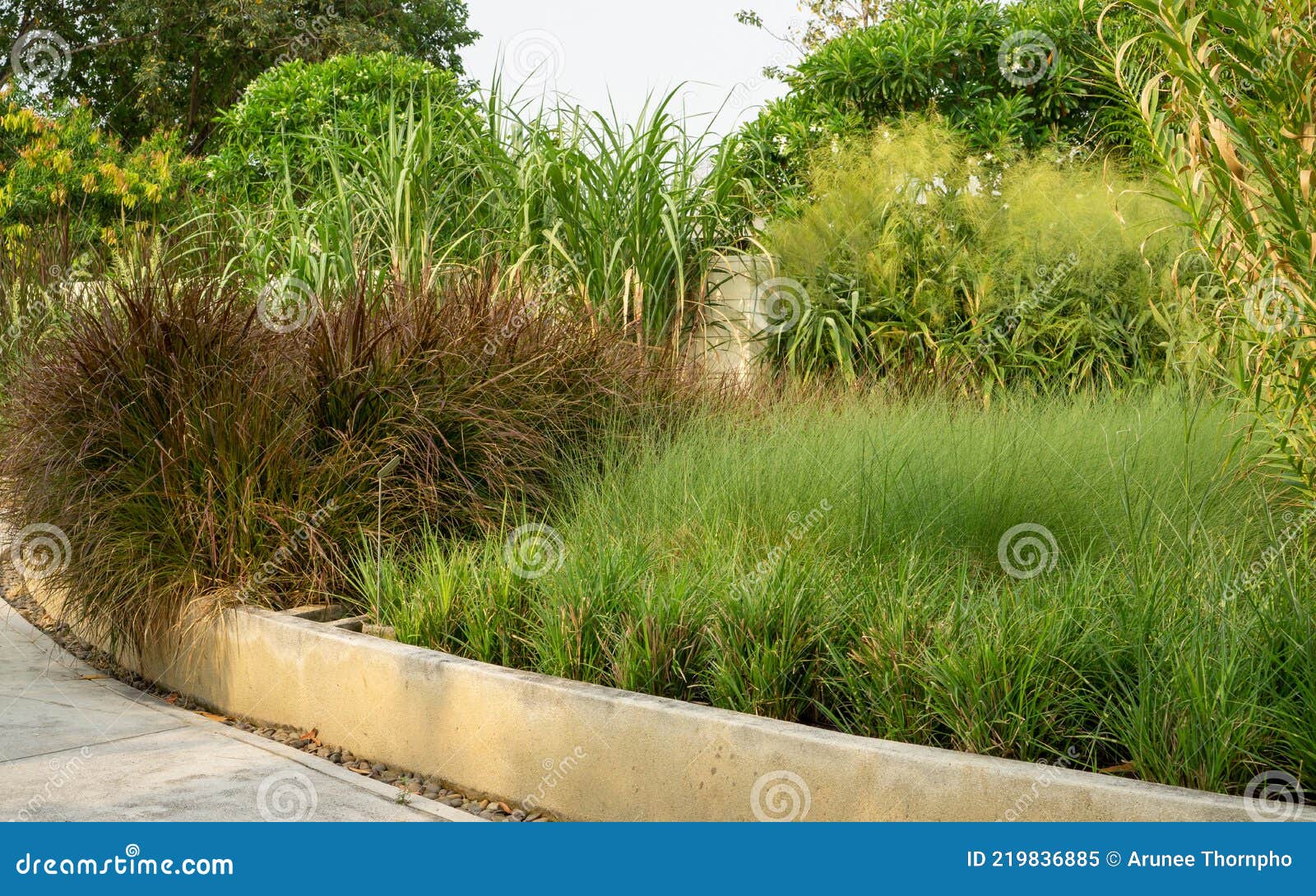 Garden of Various Types of Grass and Turf in Sand Wash Finished ...