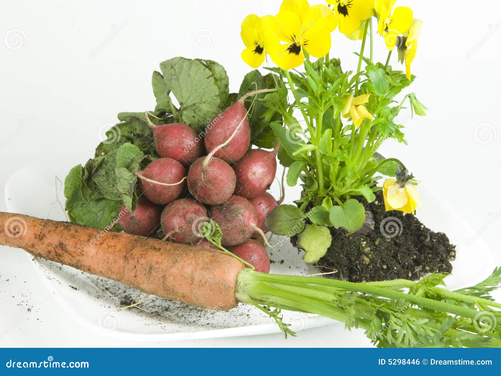 Garden Vegetables and Flowers Stock Photo - Image of goodness, grow ...