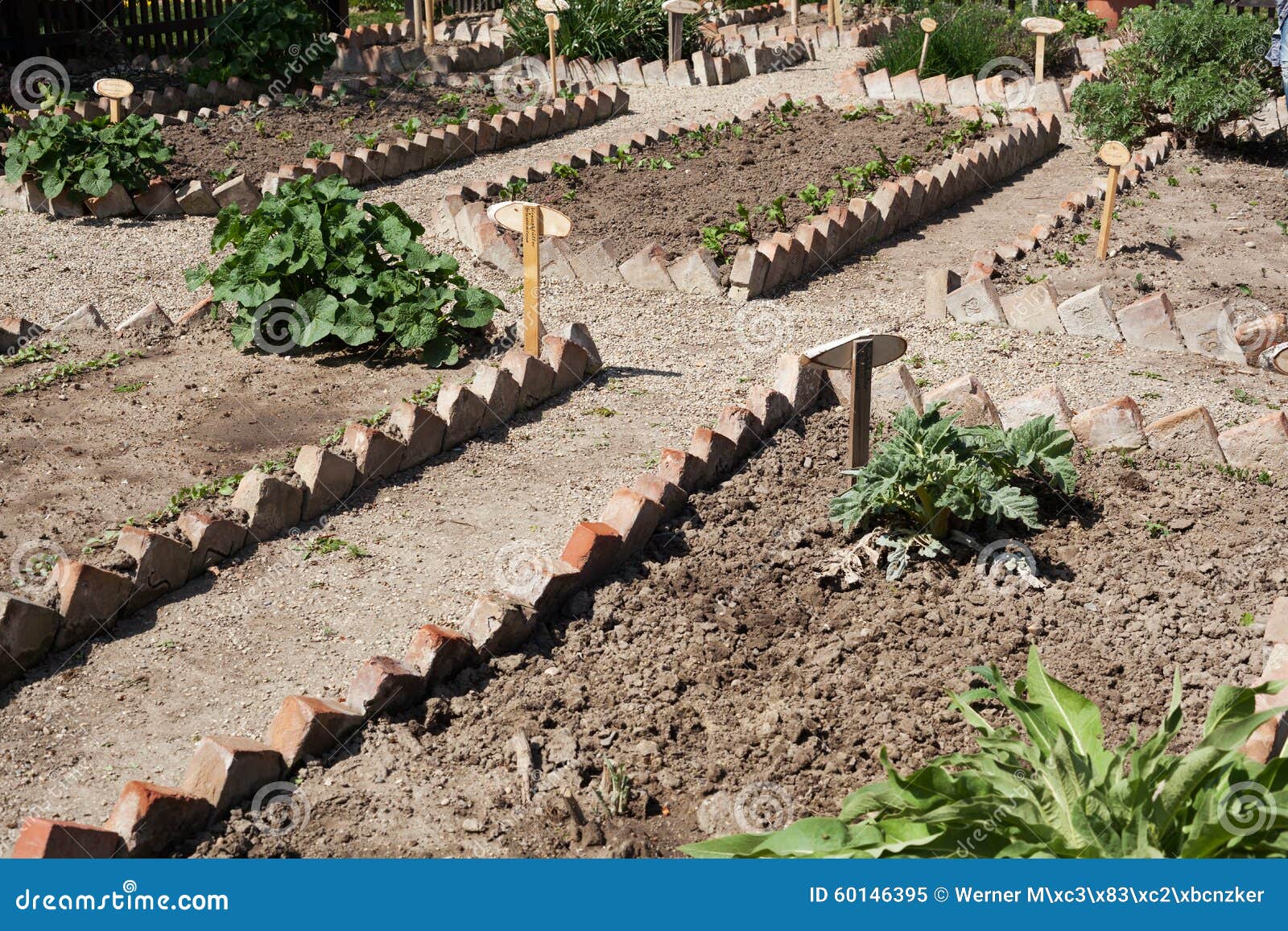 Garden with Vegetables and Flowers Stock Image - Image of soil, away ...