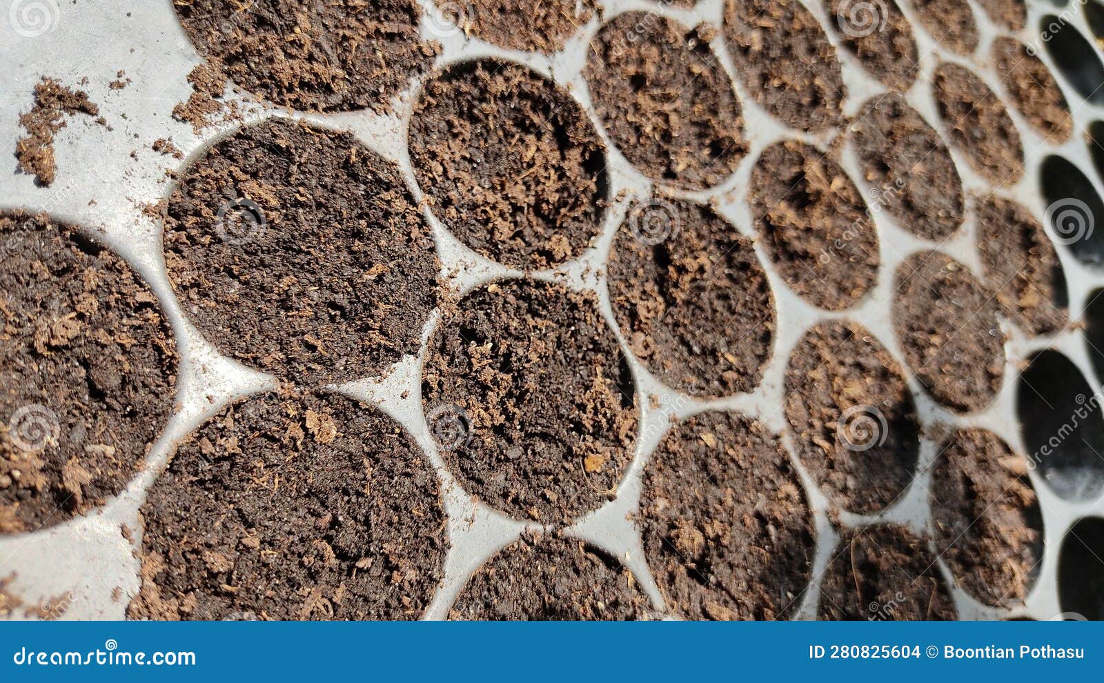 The Garden Very Beautifully Designed Floor Textures the Best Stock ...