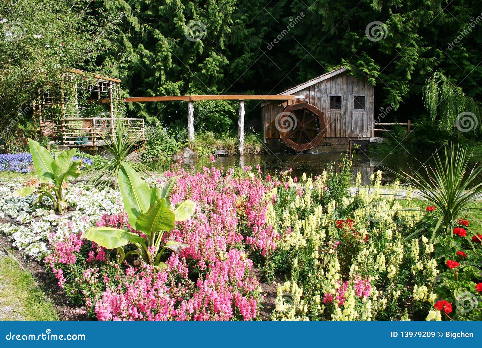 Garden view stock image. Image of forest, plant, tree - 13979209