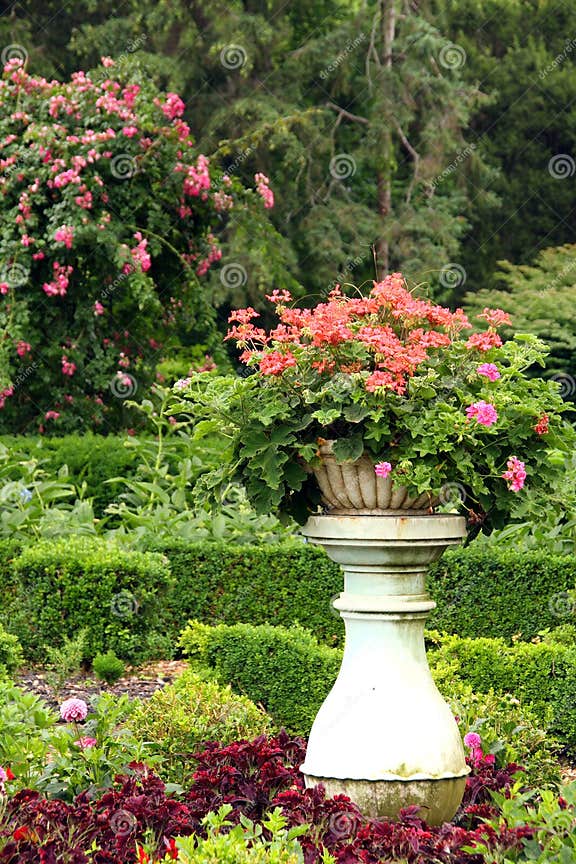 Garden view stock photo. Image of blossom, pink, floral - 5731248