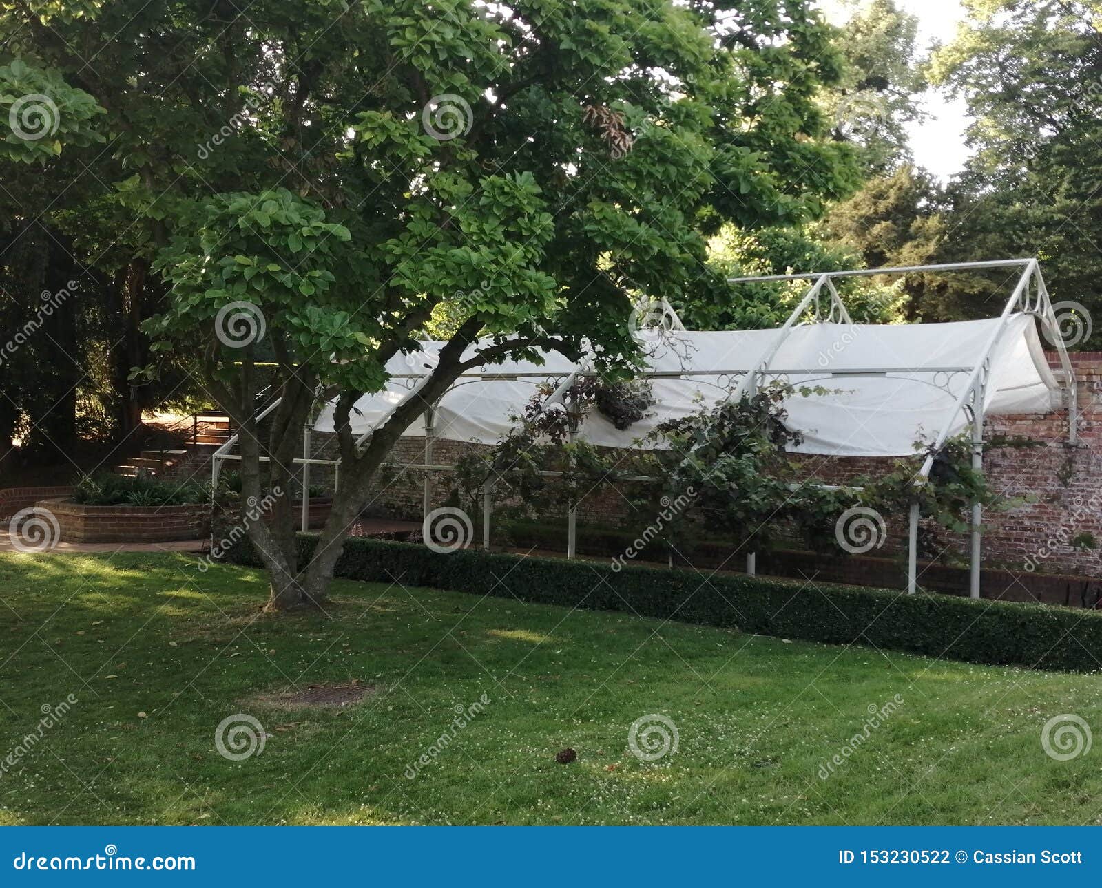 A Garden View stock photo. Image of tree, leaves, lawn - 153230522