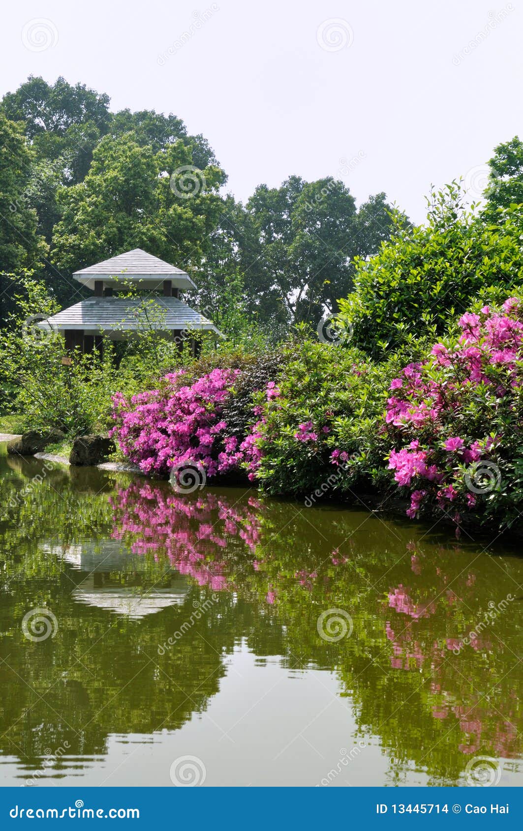 Garden View with Lake and Flower Stock Photo - Image of flower, pink ...