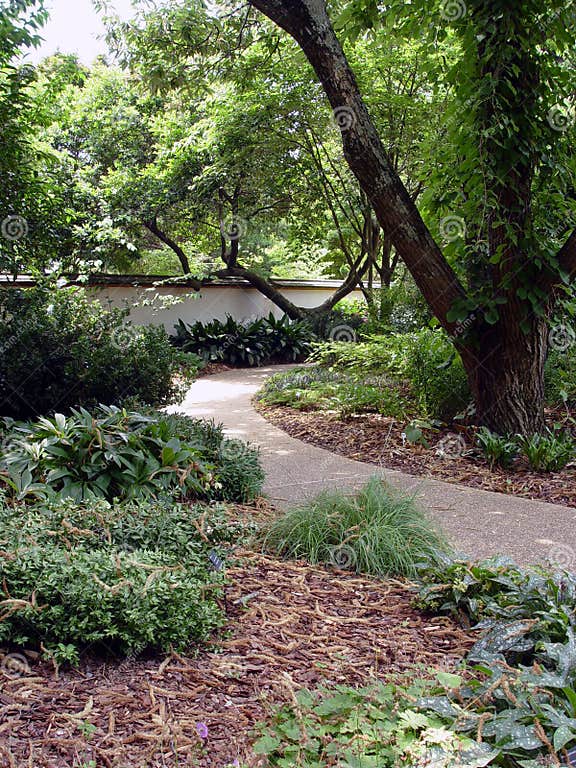 Garden Walk stock photo. Image of gardens, park, tree, botanical - 721662