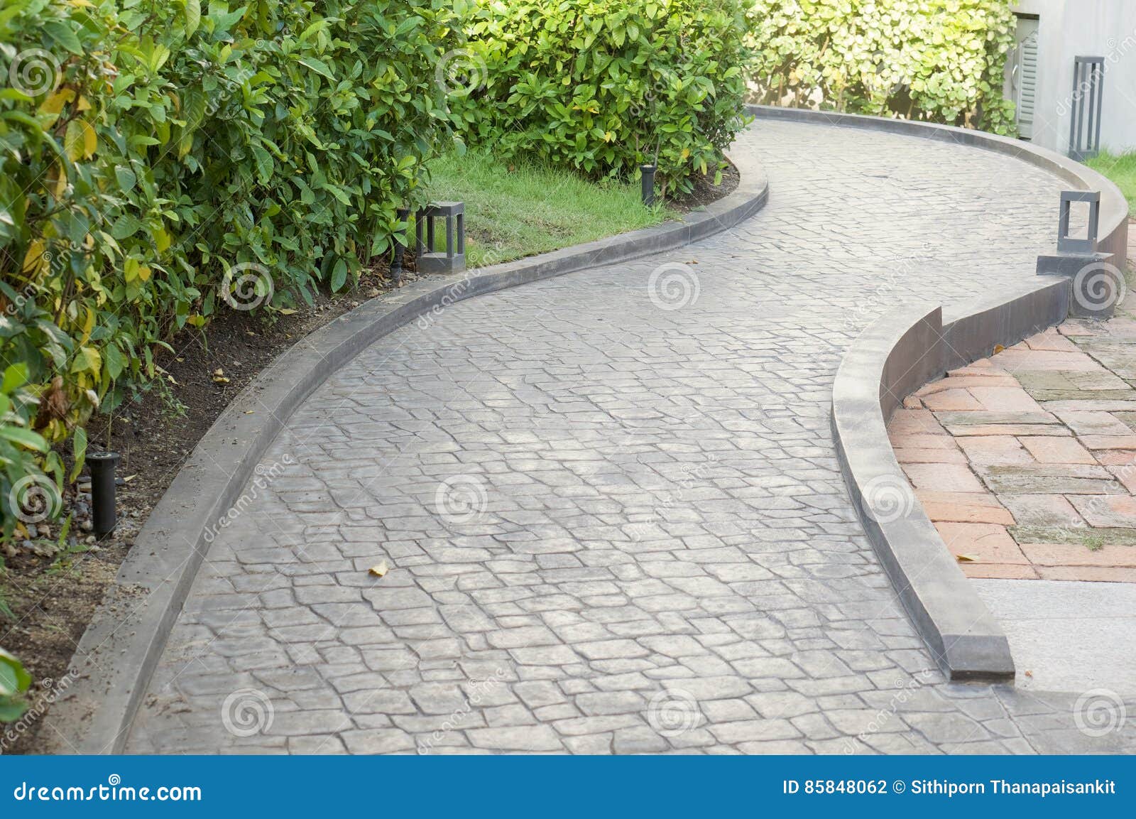 Garden Walk Way with Plant on Left Side Stock Photo - Image of walk ...