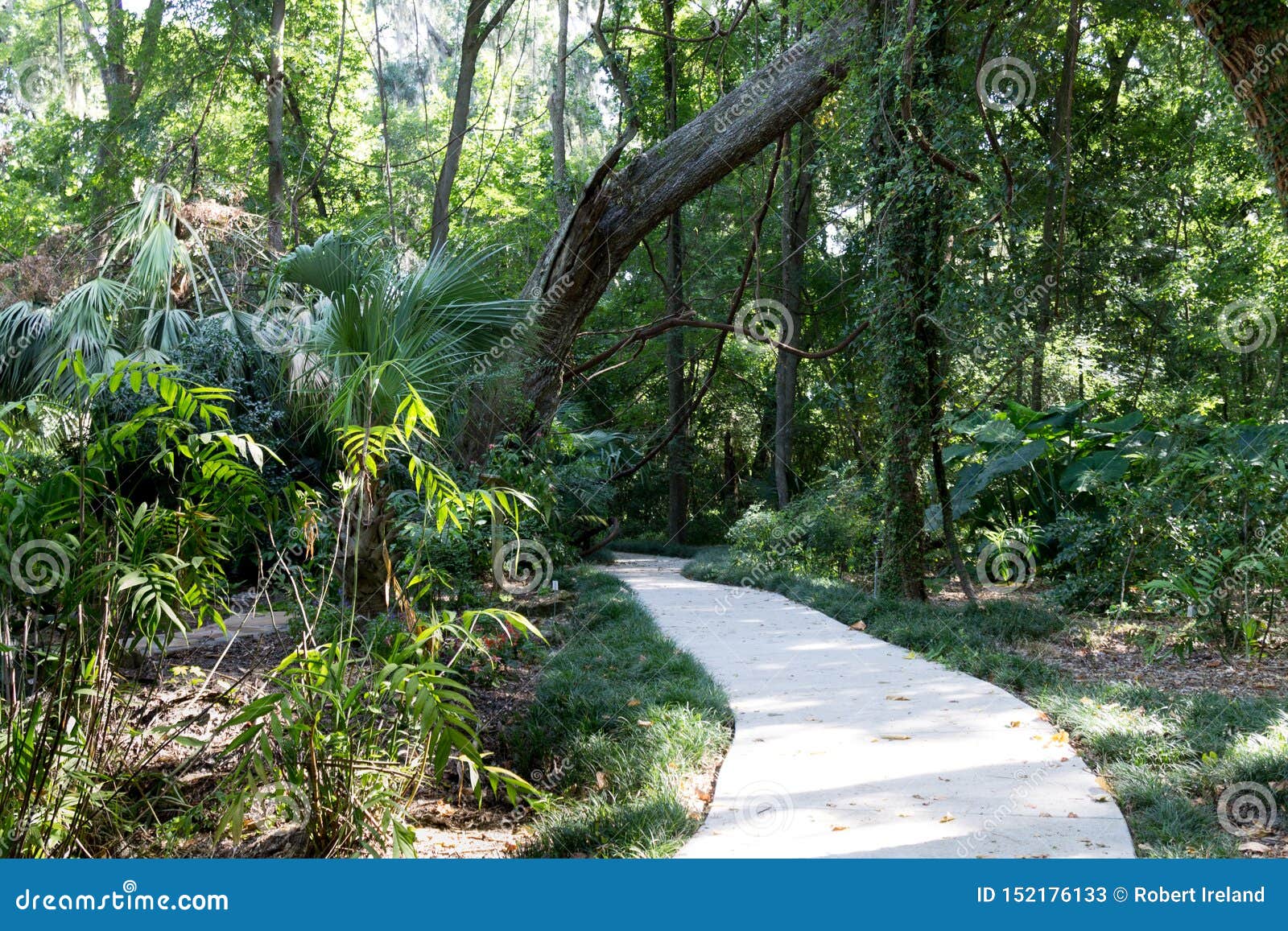 Garden Walking Trail stock image. Image of environment - 152176133
