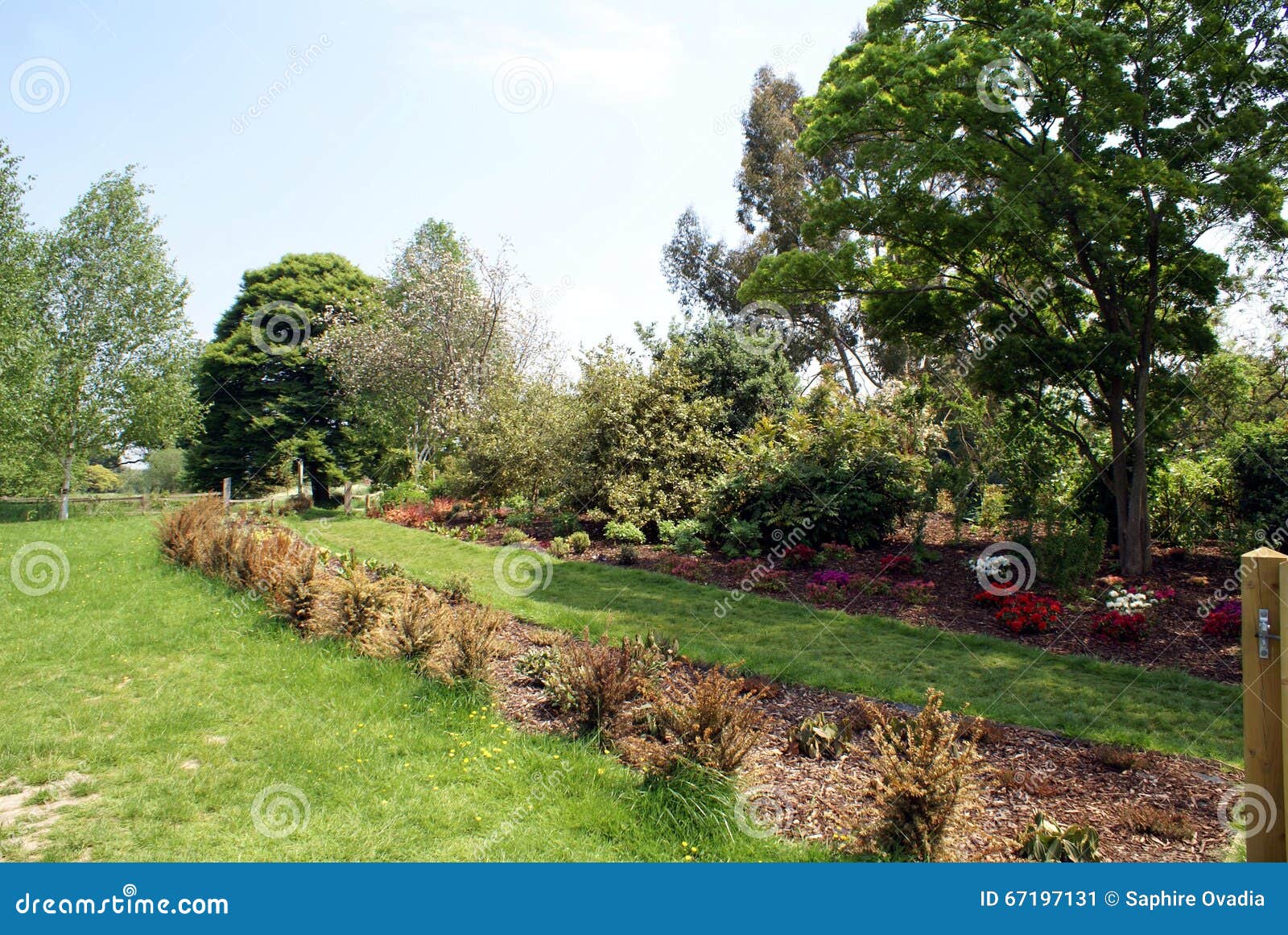 Sunken Path By Field With Overhanging Trees Royalty-Free Stock Image ...
