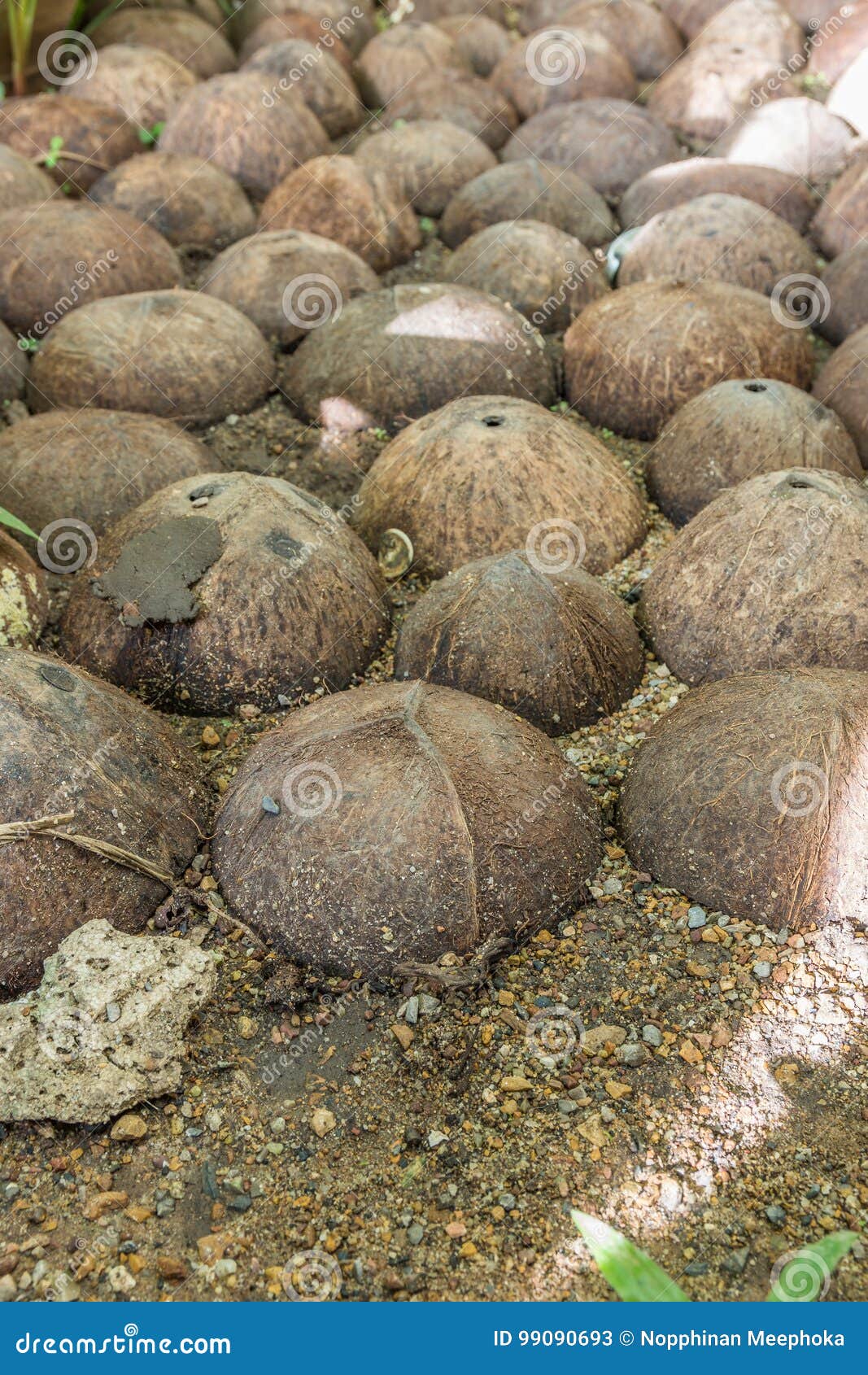 Garden Walkway Paved from Coconut Shells Stock Image - Image of health ...