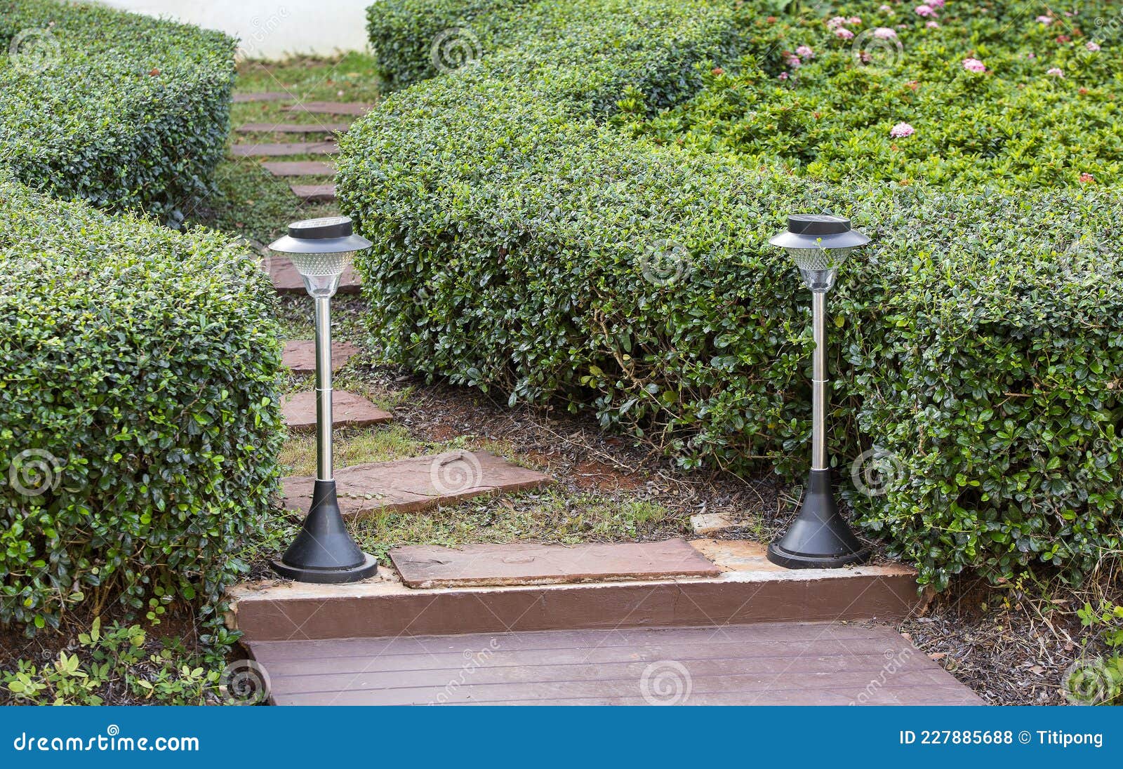 Garden Walkway with Solar Cell Stock Photo - Image of summer, electric ...