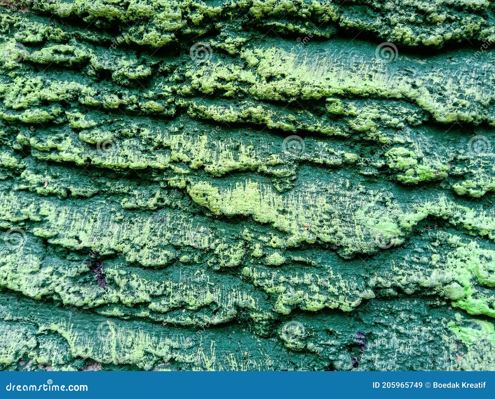 Garden Wall Texture Designed with a Mossy Pattern Stock Image - Image ...