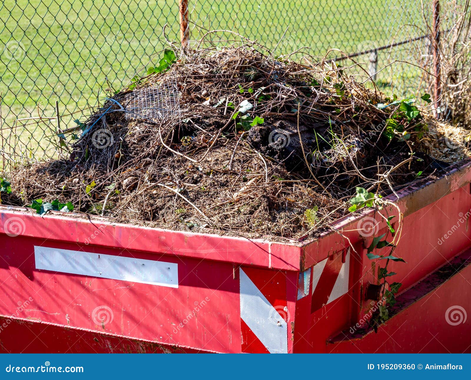 Garden Waste in a Container Stock Photo - Image of park, service: 195209360