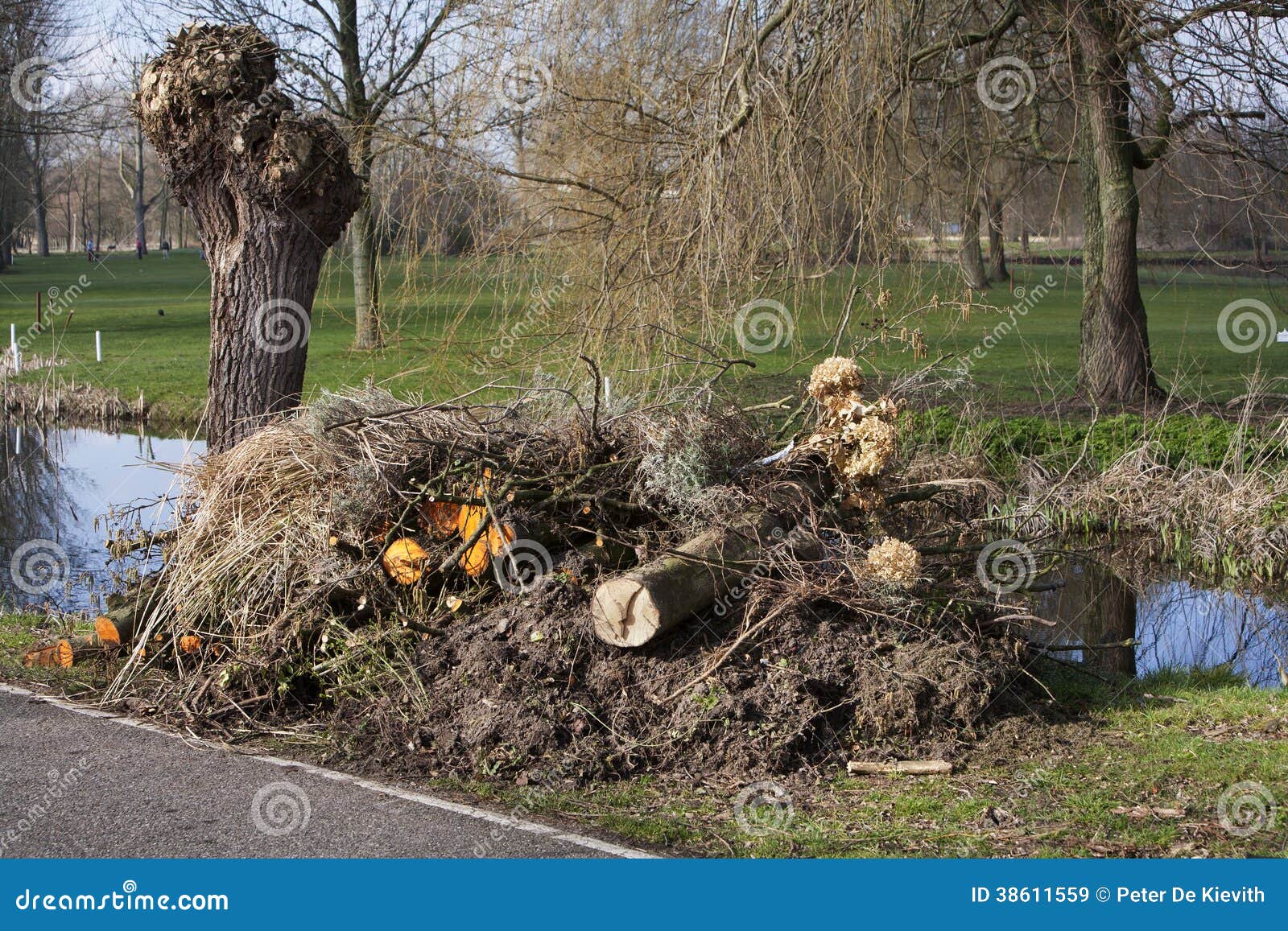 Garden waste stock image. Image of trunk, soil, wood - 38611559