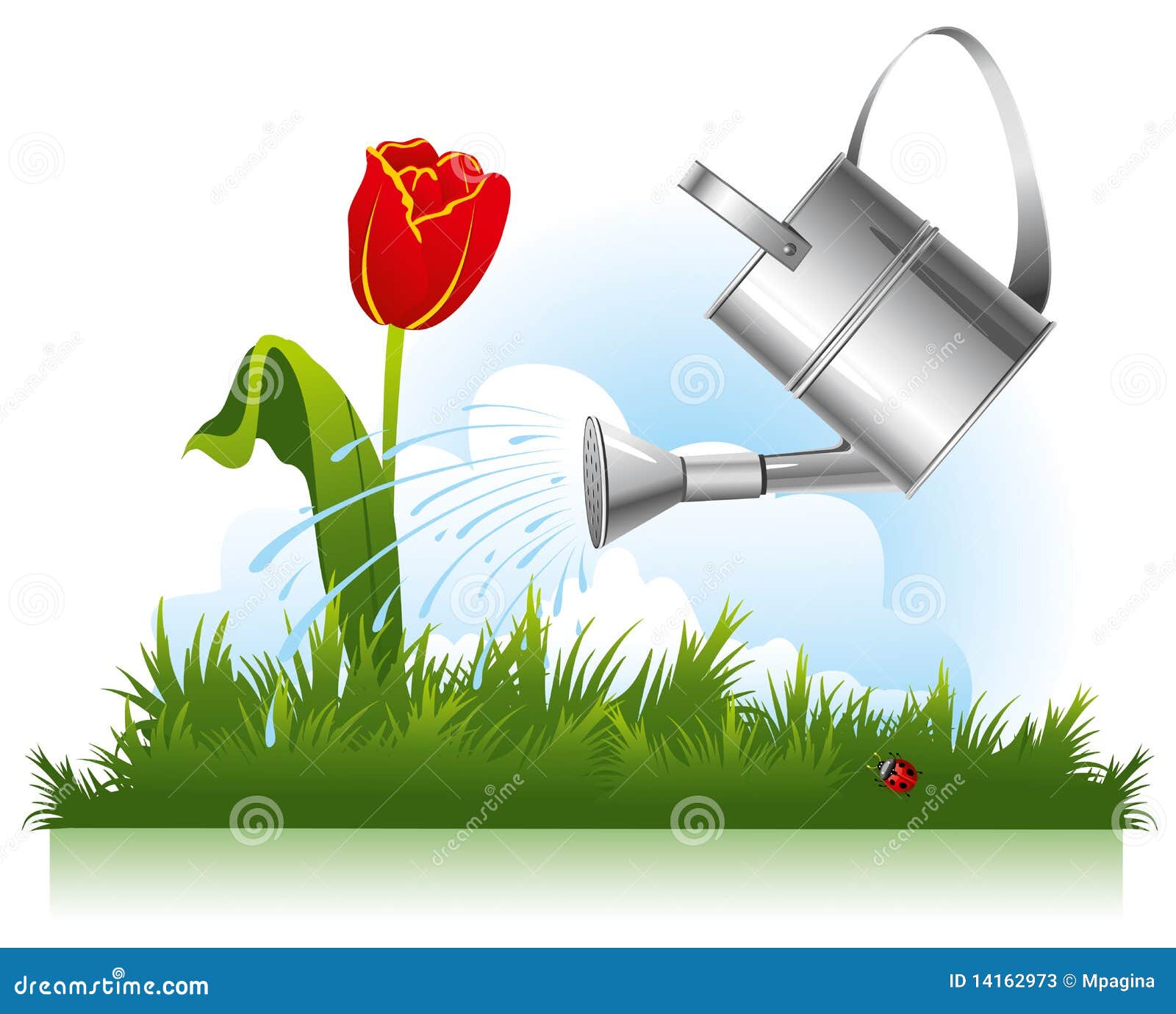 Garden watering stock vector. Illustration of ideas, care - 14162973