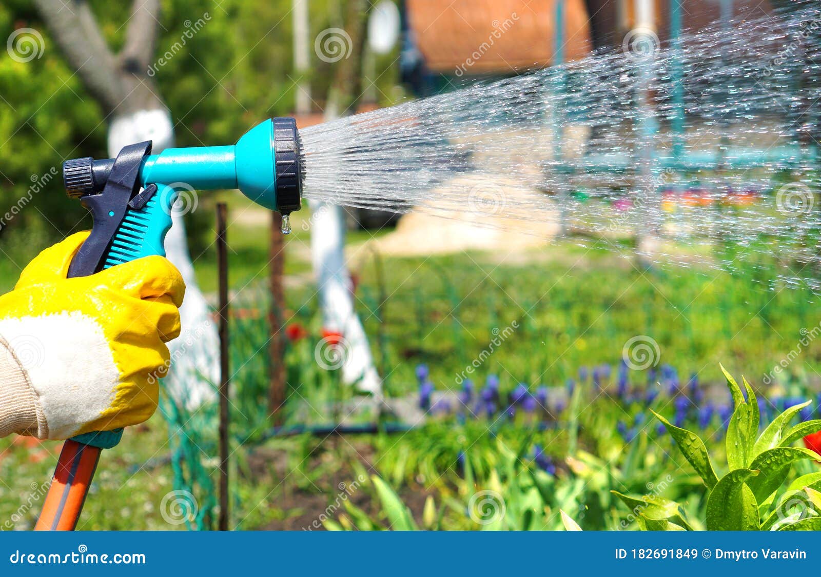 Garden Watering with Spray Gun in a Hand Stock Image - Image of leisure ...