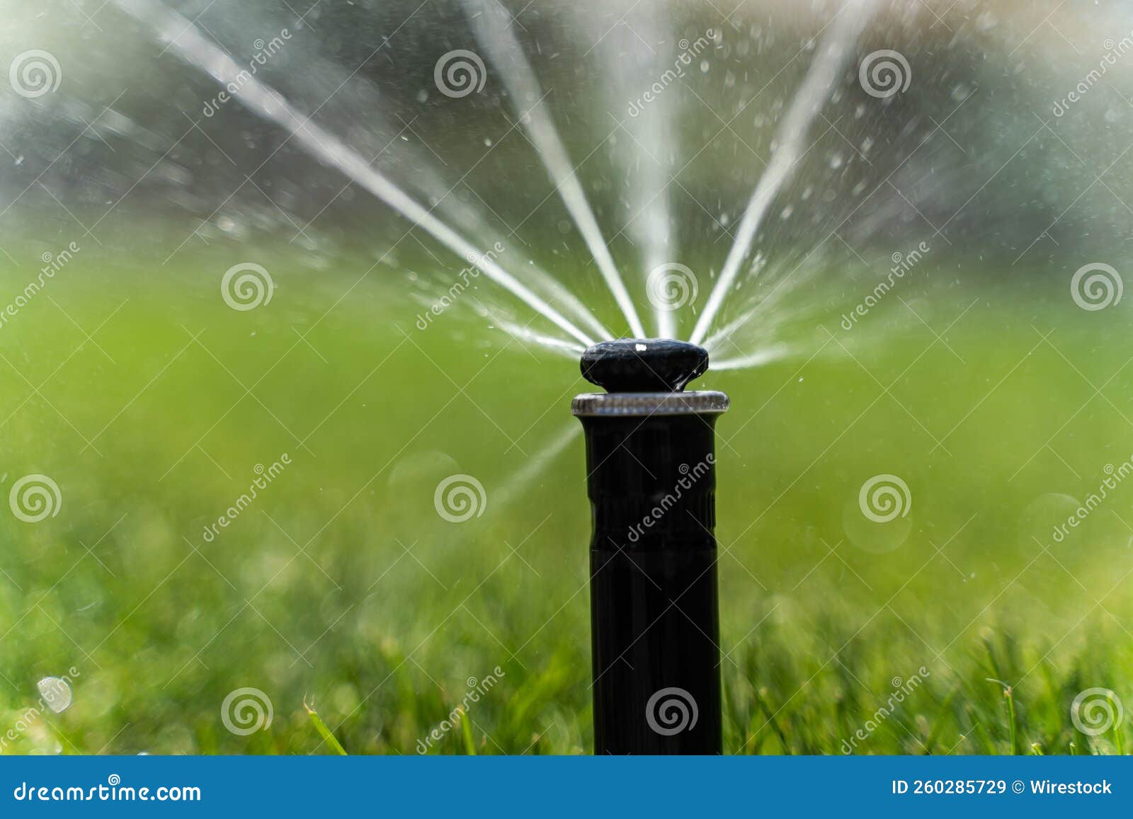 Garden Watering System with Streaming Water Stock Image - Image of ...