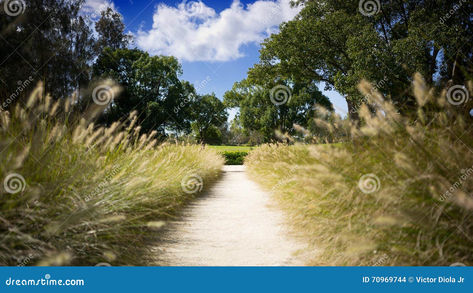 Garden Wedding Aisle stock photo. Image of flowers, bride - 70969744