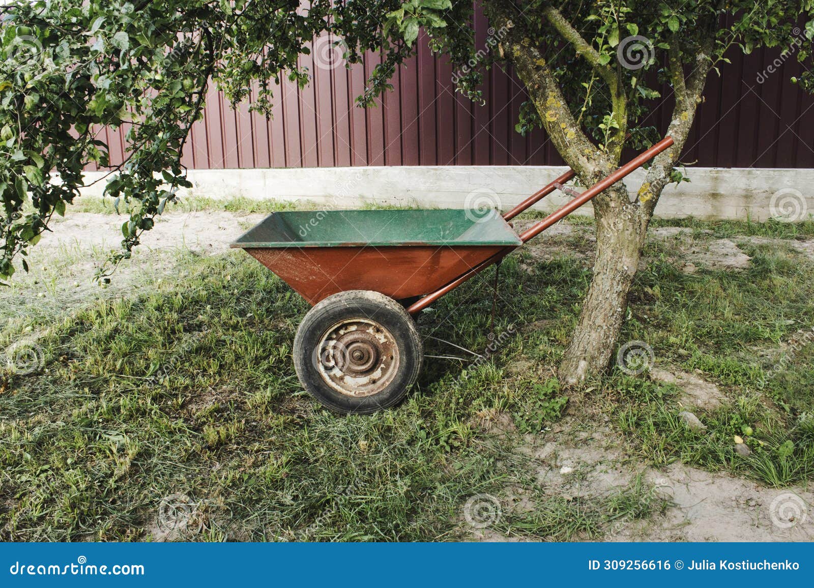 A Garden Wheelbarrow Stands Under a Tree in the Yard. Garden Works ...
