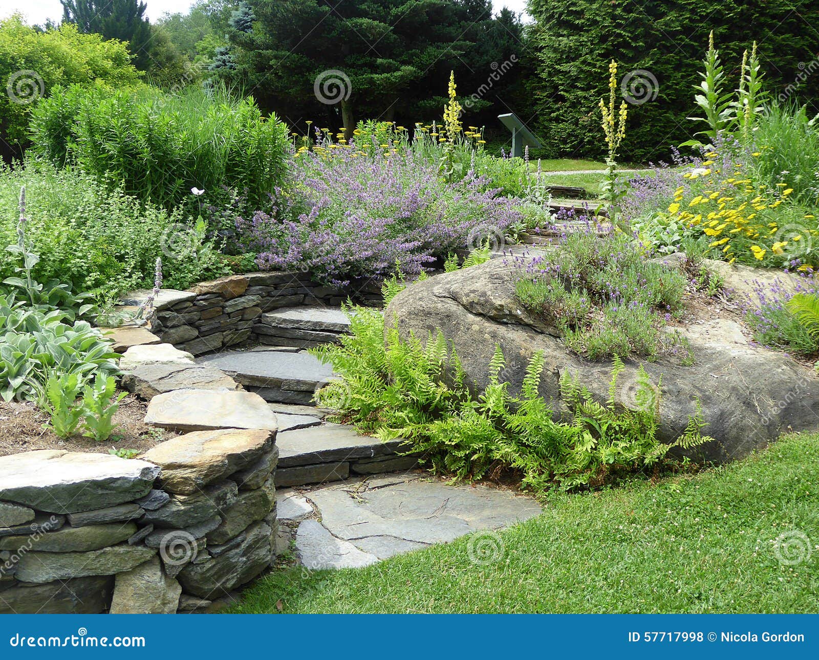 Garden with Winding Path stock photo. Image of plant - 57717998