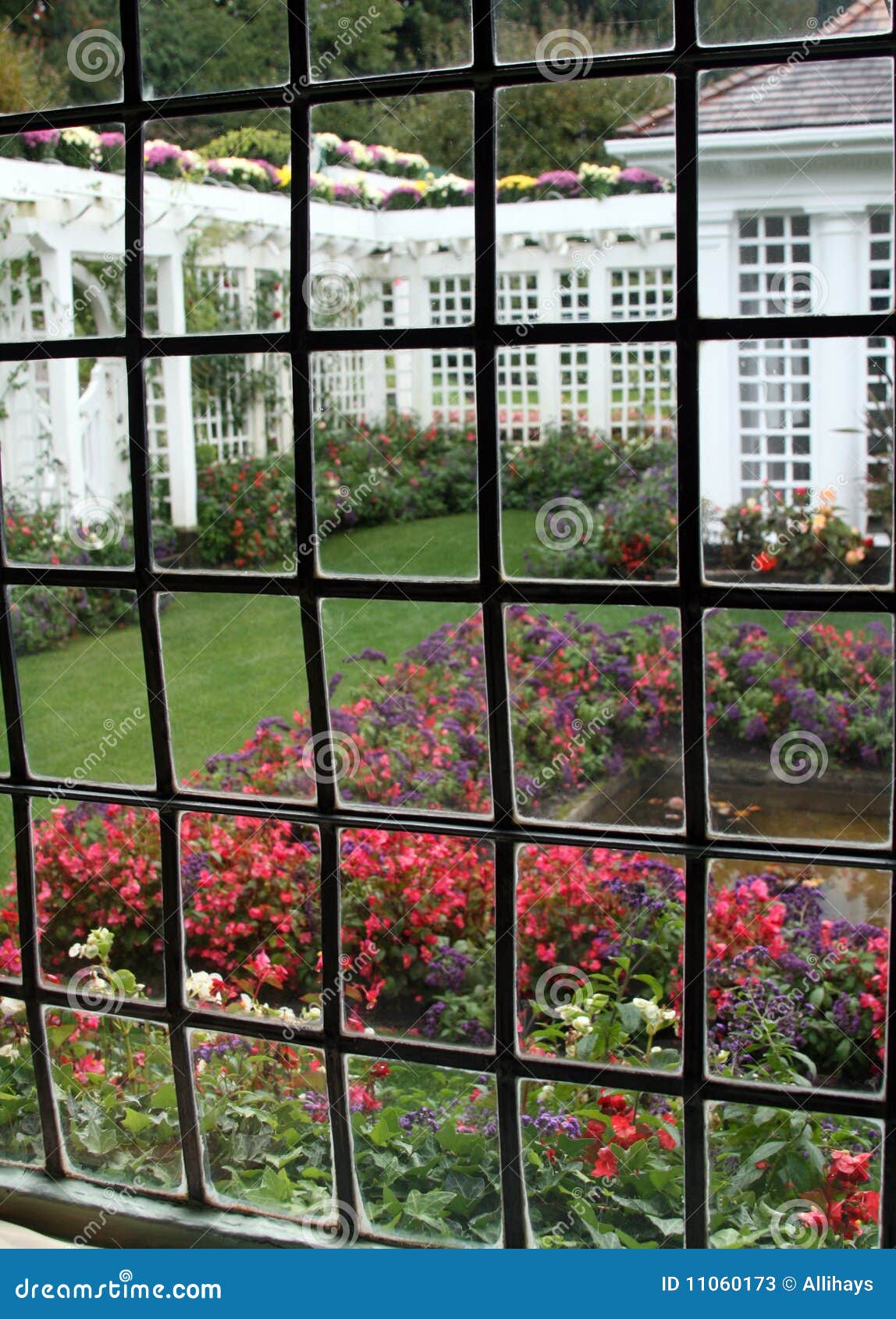 Garden Window stock image. Image of pane, outside, nature - 11060173