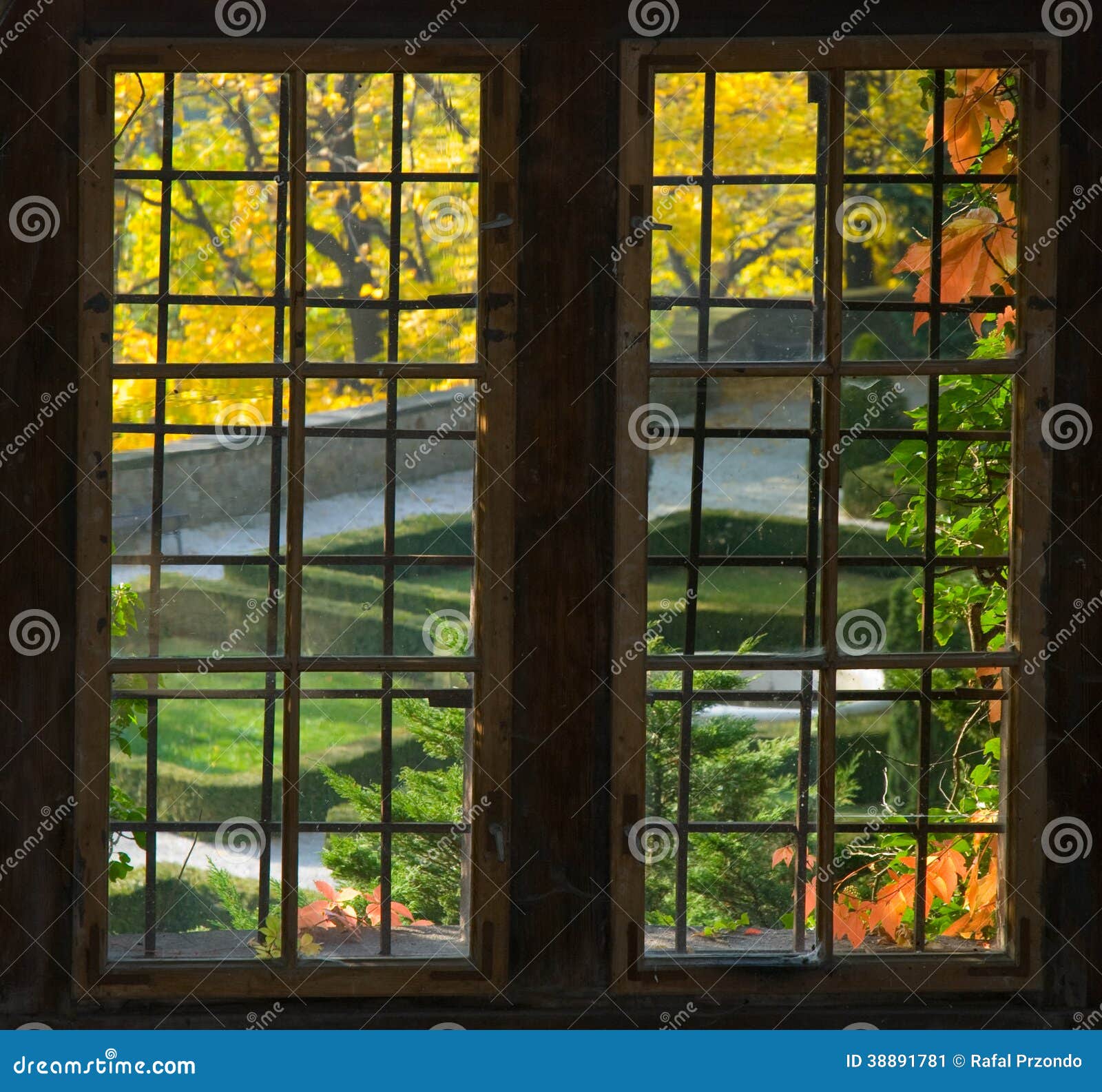 A garden through a window editorial photo. Image of poland - 38891781