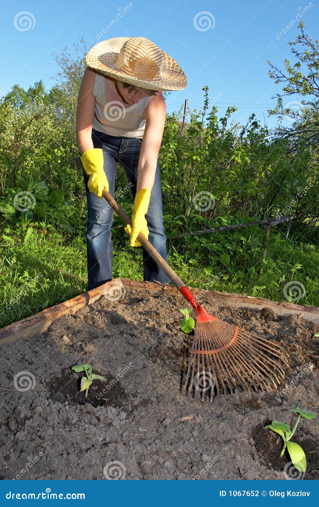 Garden work stock photo. Image of nature, people, fork - 1067652