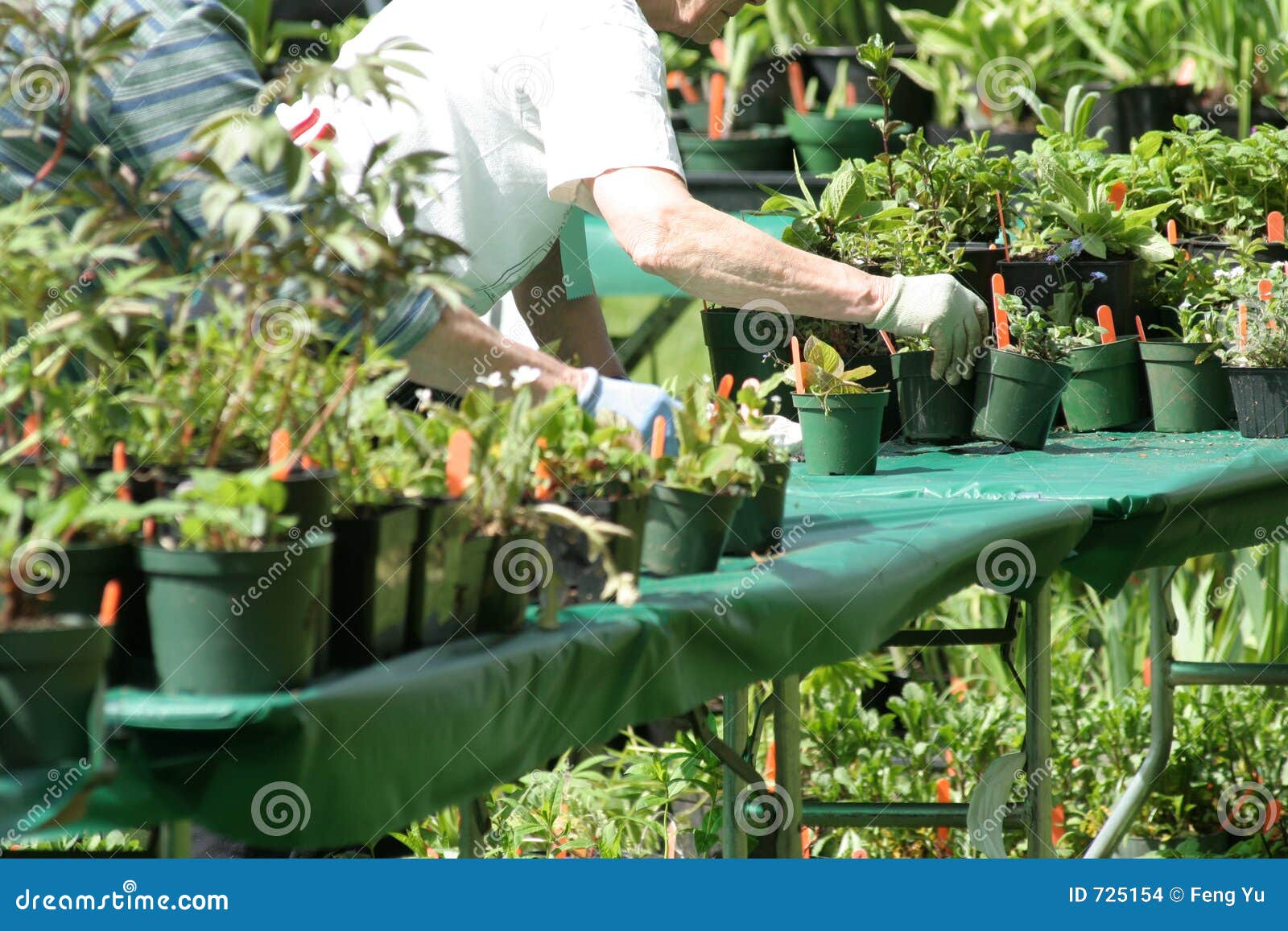 Garden work stock photo. Image of work, worker, gardener - 725154