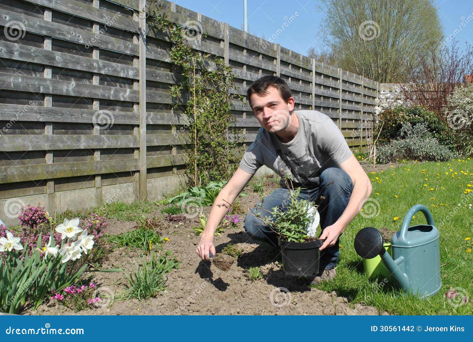 Garden work at spring stock photo. Image of house, narcissus - 30561442