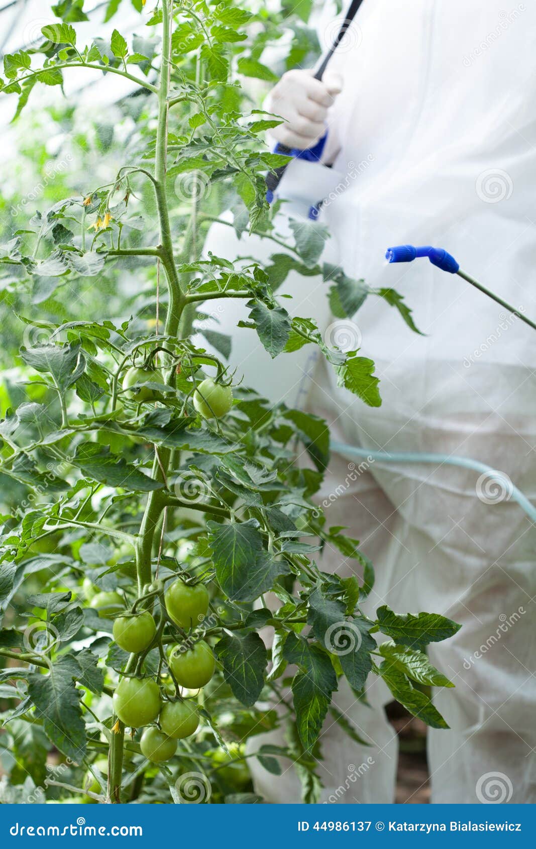 Garden Worker Spraying Plants Stock Image - Image of protection ...