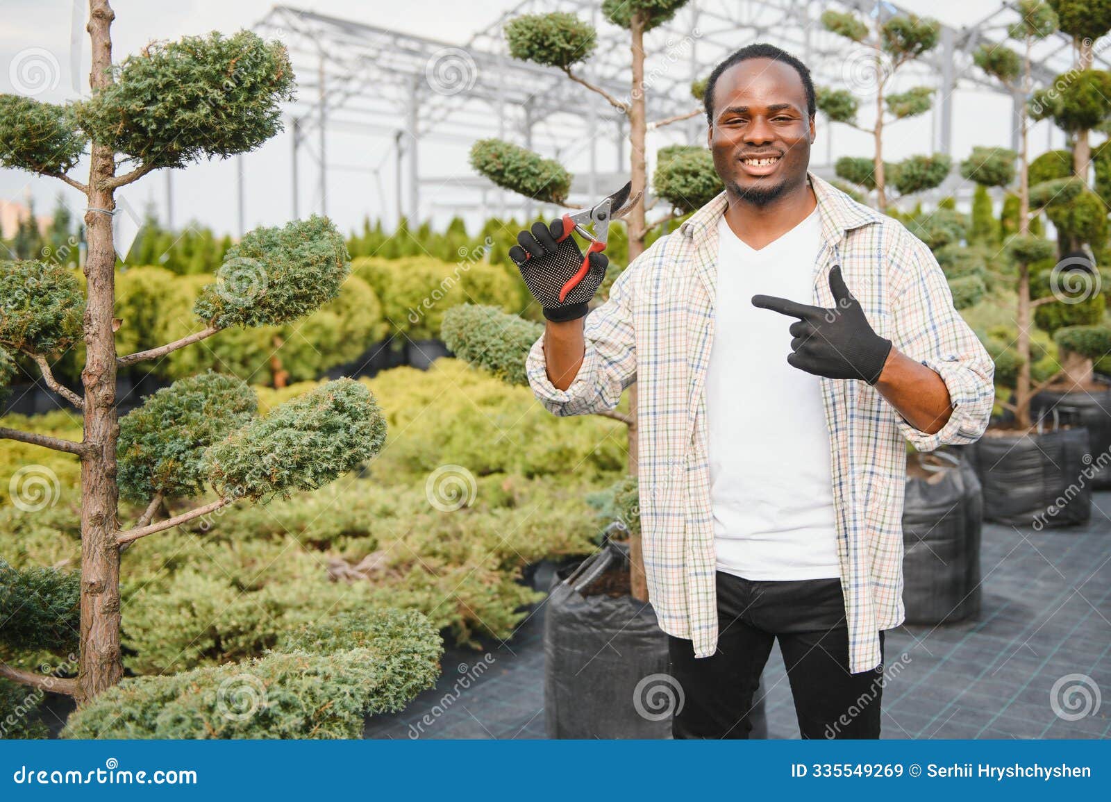 Garden Worker Trimming Trees with Scissors. Garden Shop Stock Image ...