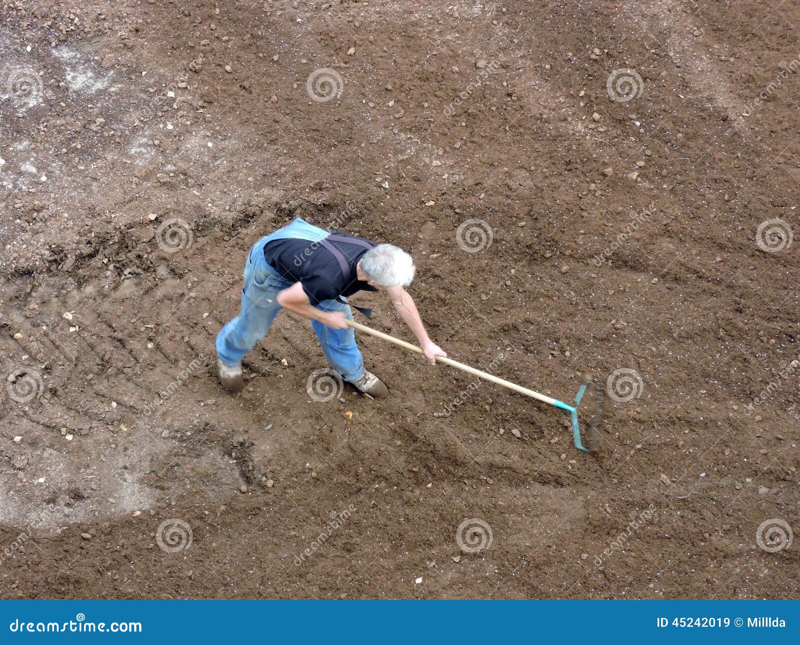 Garden worker editorial stock image. Image of working - 45242019