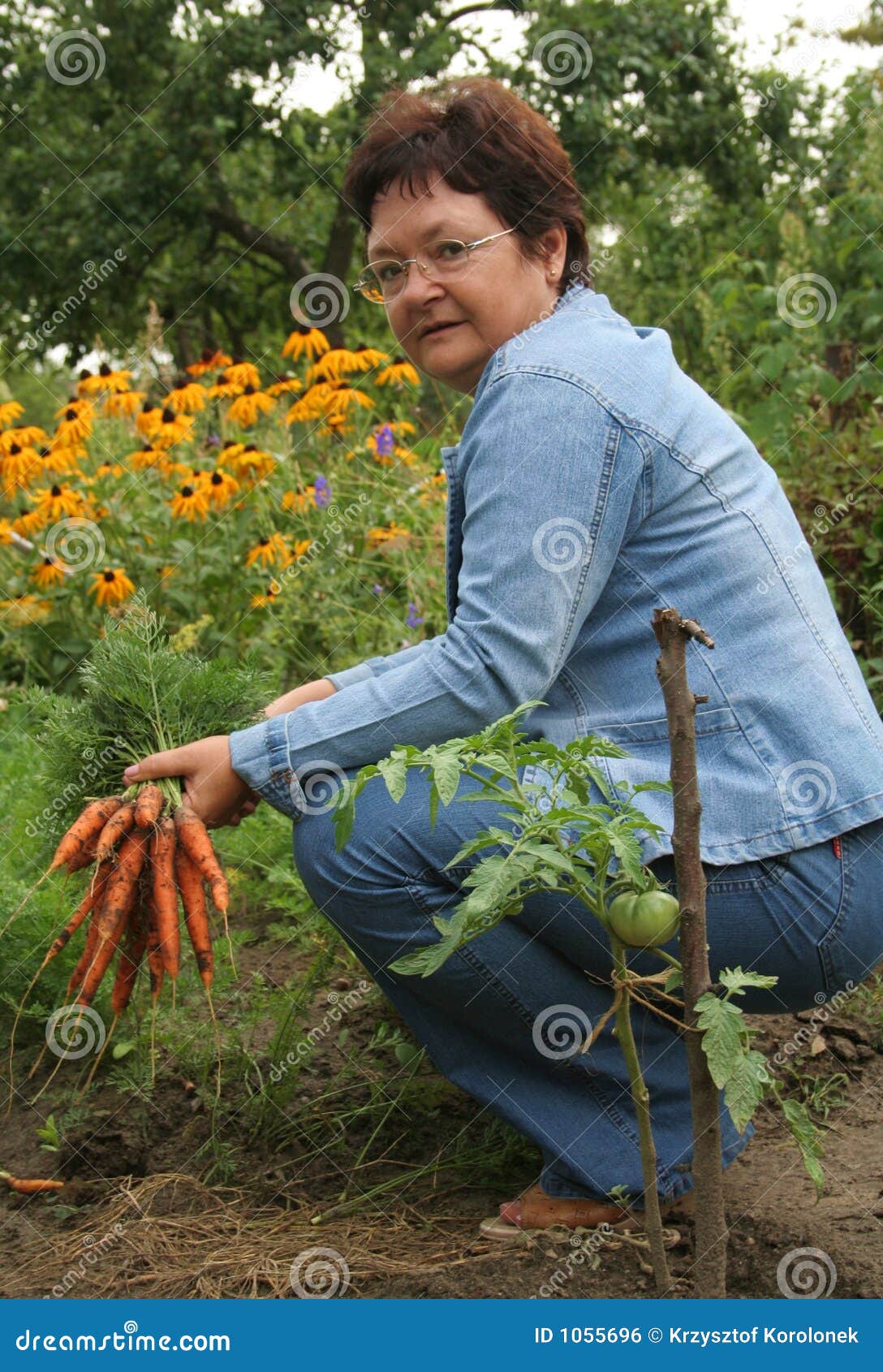 Gardener stock photo. Image of gardens, girl, gardeners - 1055696