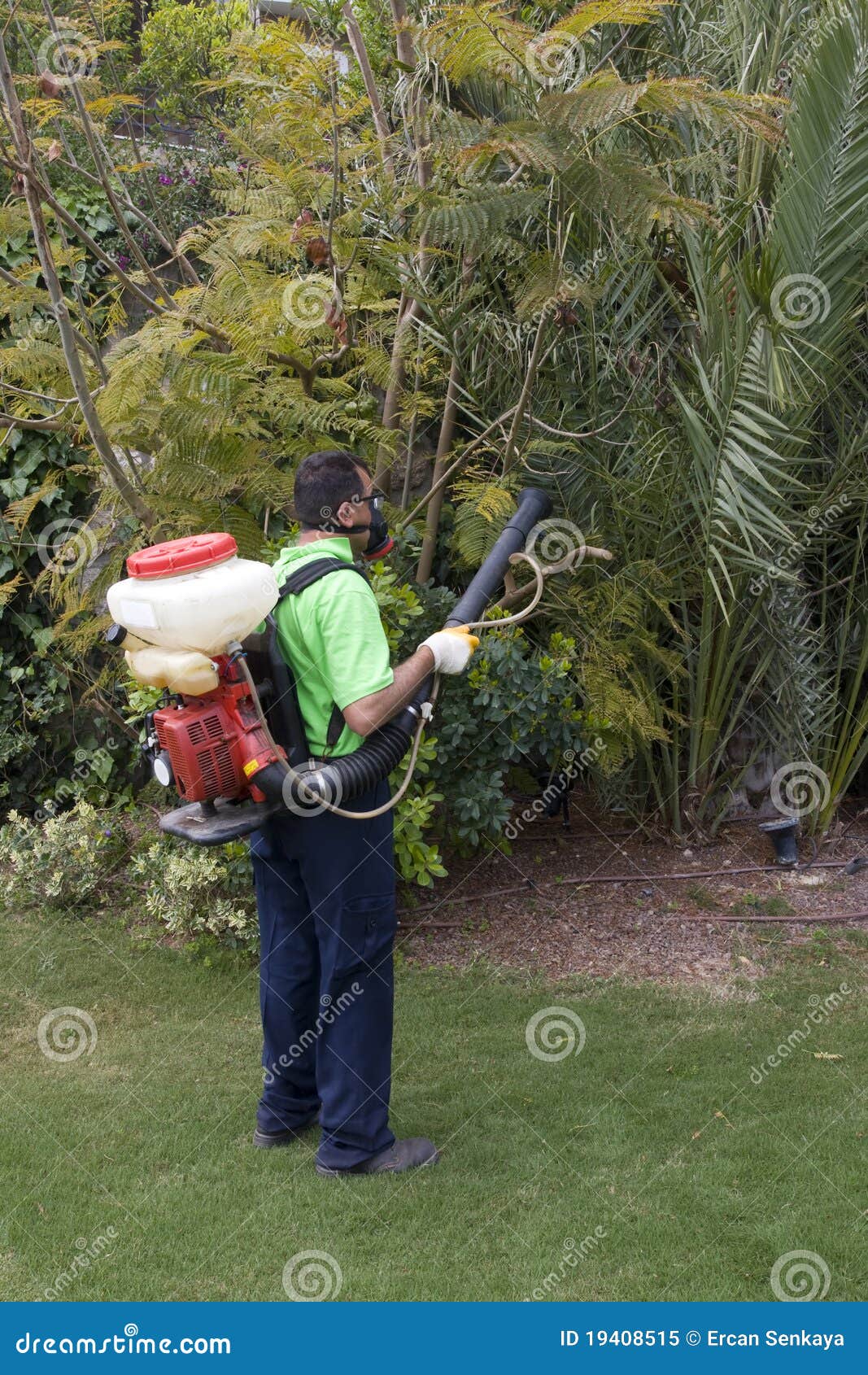 Gardener stock image. Image of chemical, gardening, spraying - 19408515