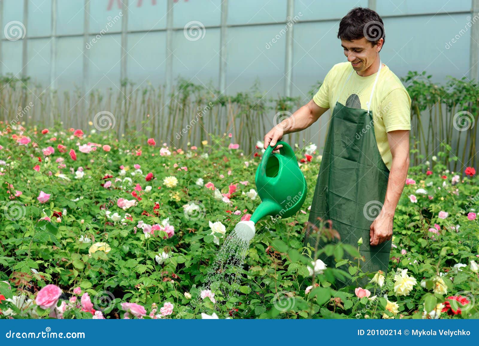 Gardener stock photo. Image of florist, person, garden - 20100214