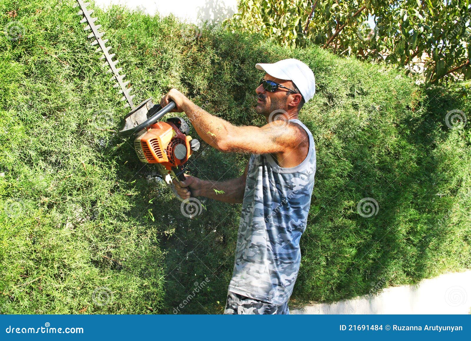 Gardener stock photo. Image of summer, white, work, cutting - 21691484
