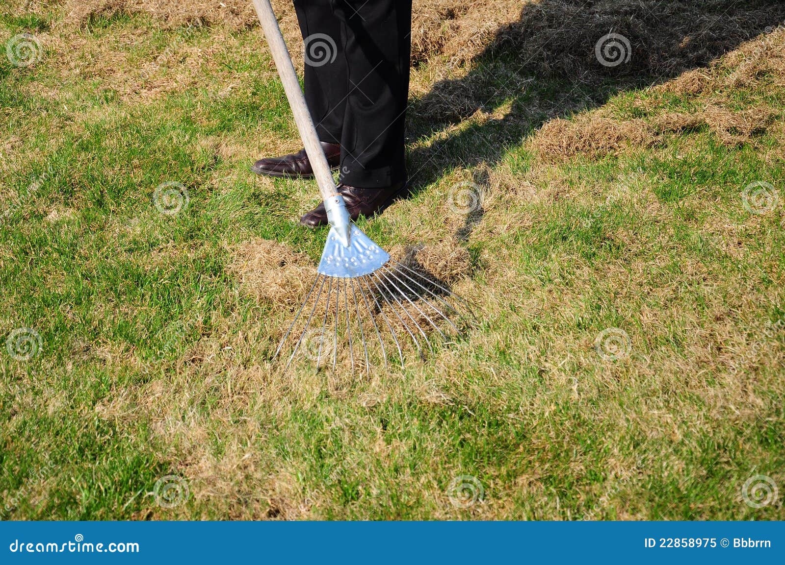 Gardener stock image. Image of grow, adult, forking, closeup - 22858975
