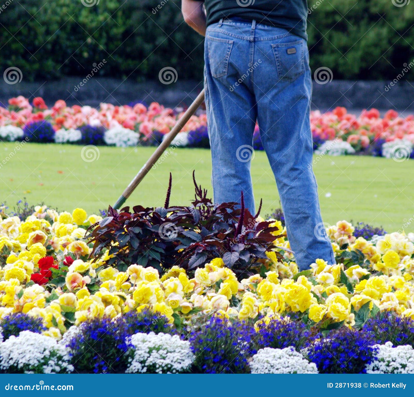 Gardener stock photo. Image of growing, person, tending - 2871938